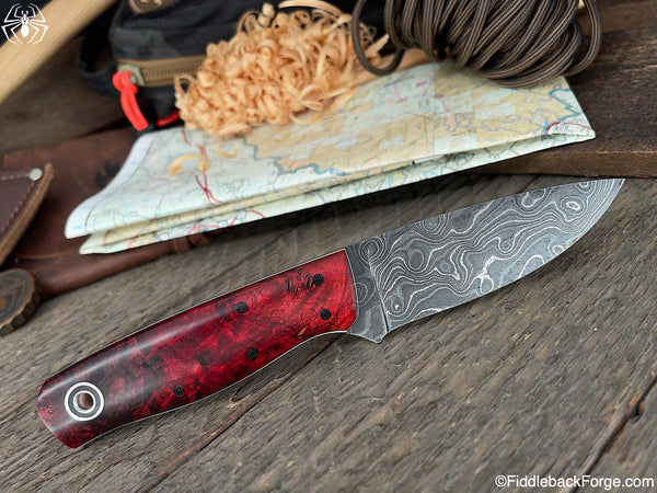 Fiddleback Friday 5/21/21 - Fiddleback Forge