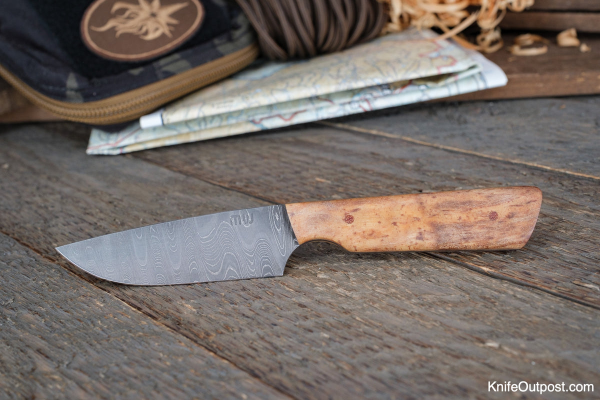 Fiddleback Friday 6/26/20 - Fiddleback Forge