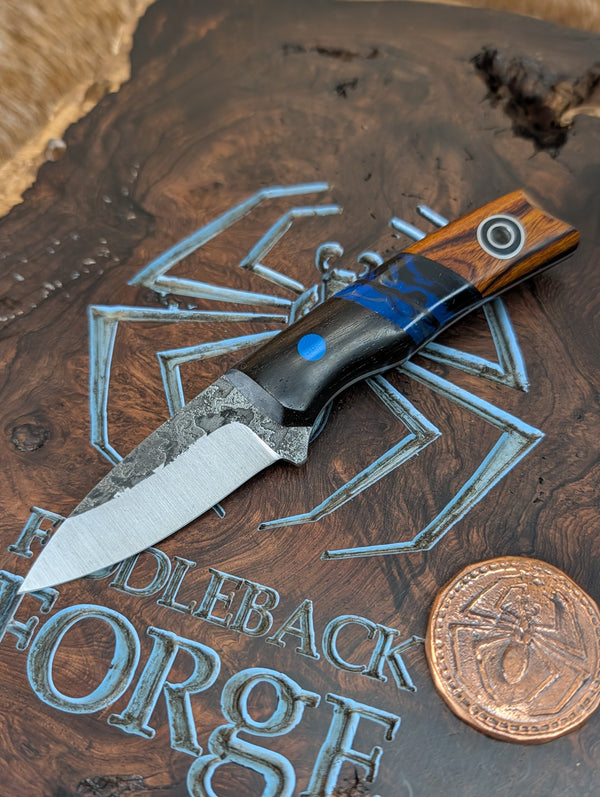 Fiddleback Forge Chicapea - Bolstered Sloat Special w Blackwood and Ir