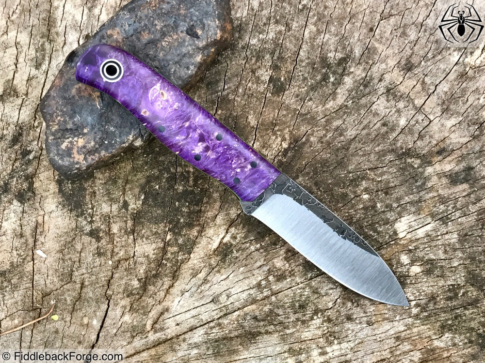Fiddleback Forge Model Example Database